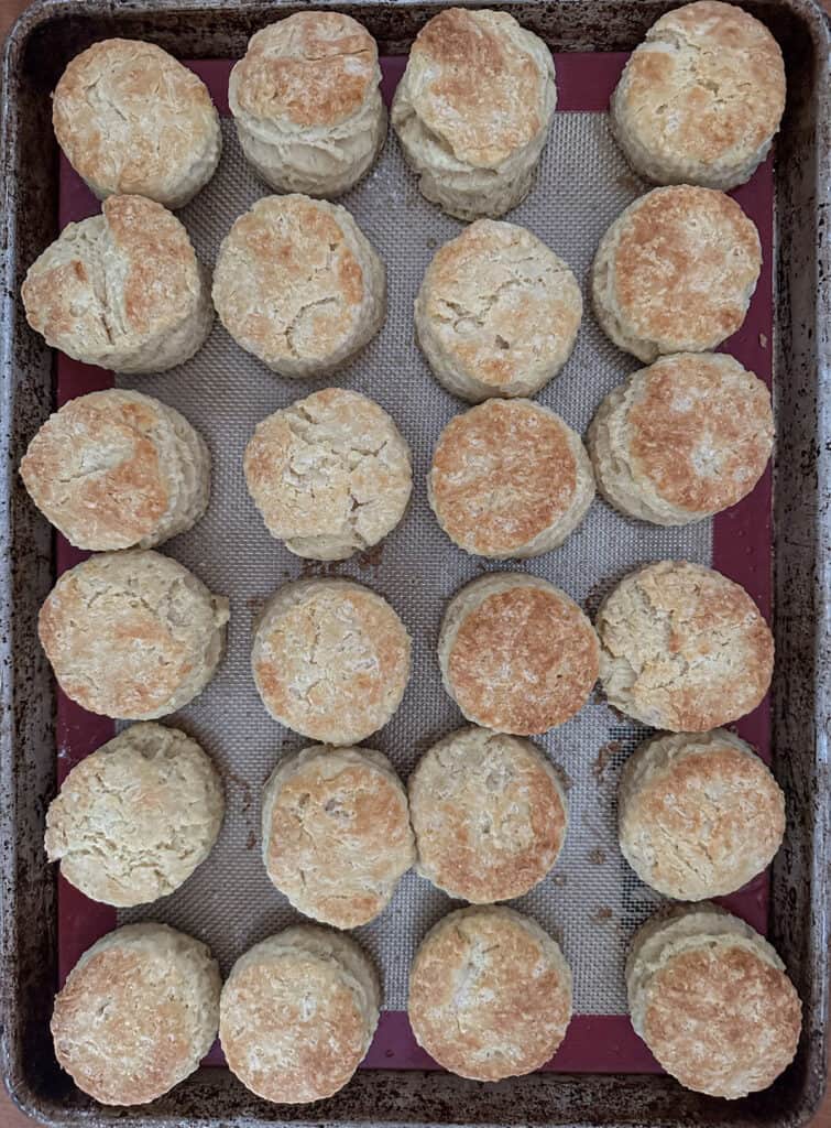 Easy Homemade Biscuits for a Crowd - Appetizer Bliss
