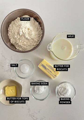 Mini Biscuits - Appetizer Bliss