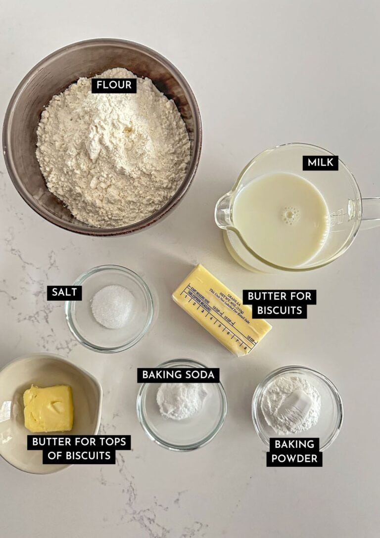 Mini Biscuits - Appetizer Bliss