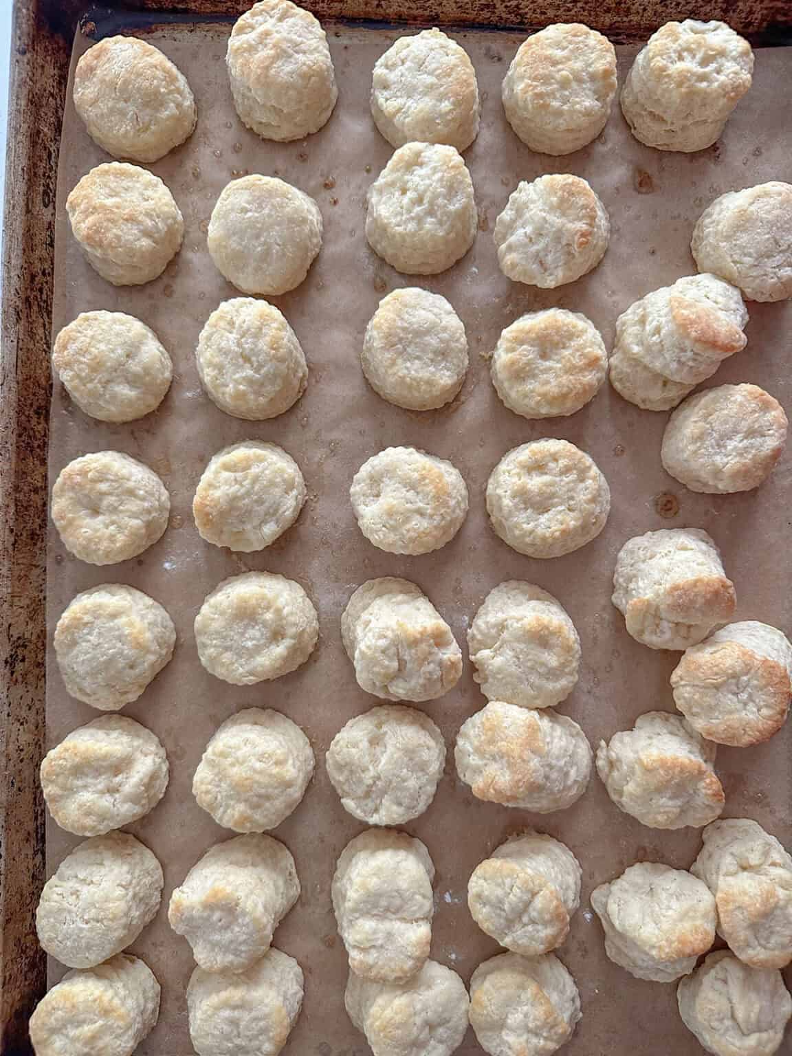 Mini Biscuits - Appetizer Bliss