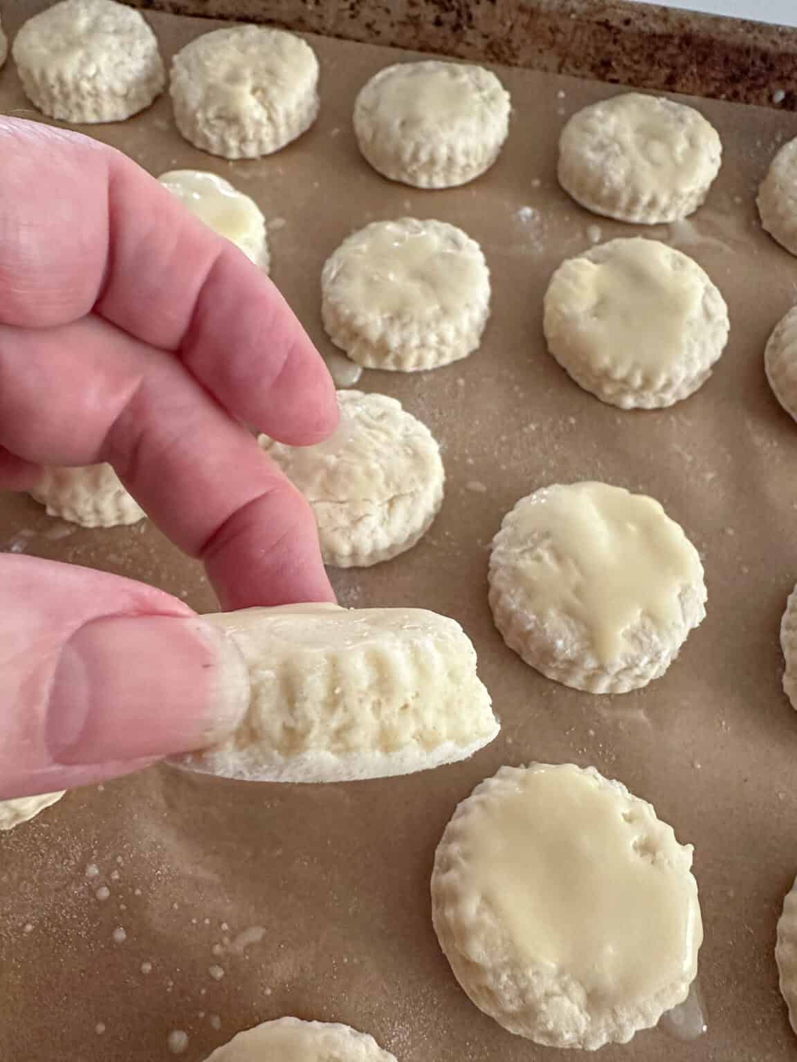 Mini Biscuits - Appetizer Bliss